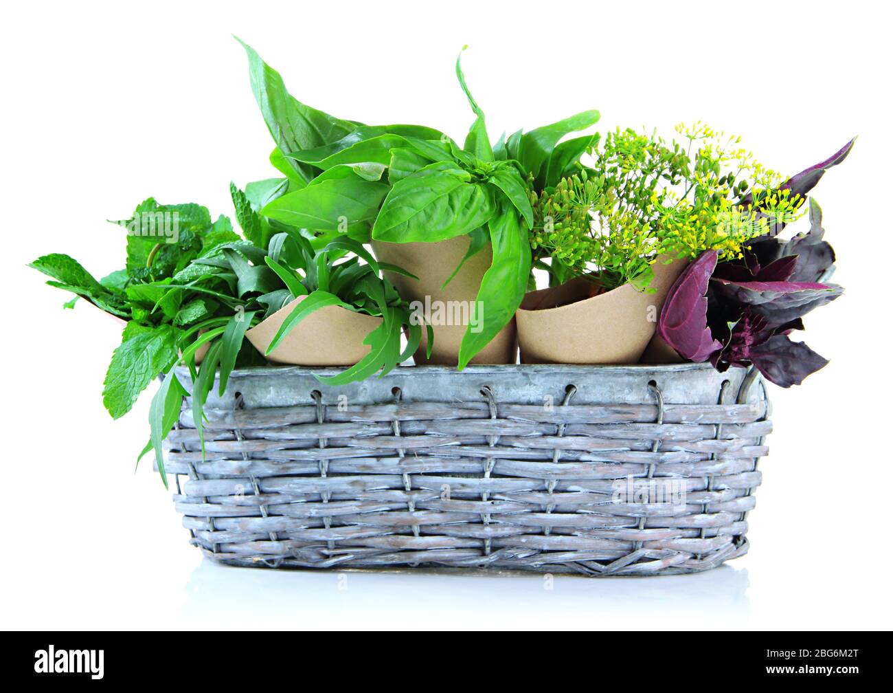 Collection fresh herbs in Cut Out Stock Images & Pictures - Alamy