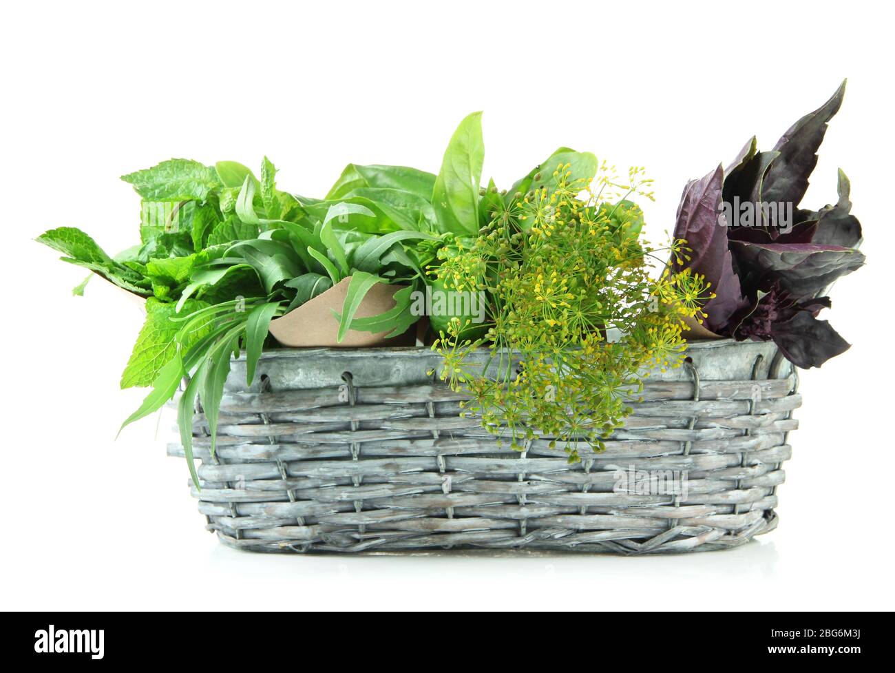 Collection fresh herbs in Cut Out Stock Images & Pictures - Alamy