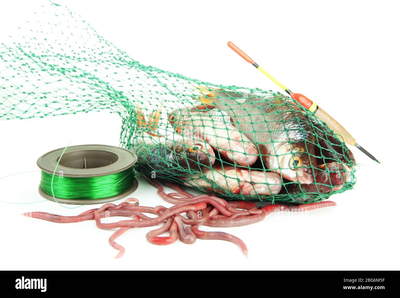 Fishes in fishing net isolated on white Stock Photo - Alamy