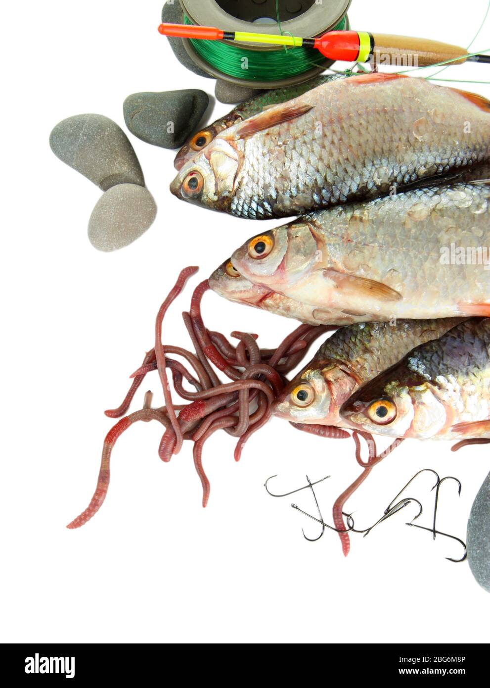 Fishes and fishing tools isolated on white Stock Photo - Alamy