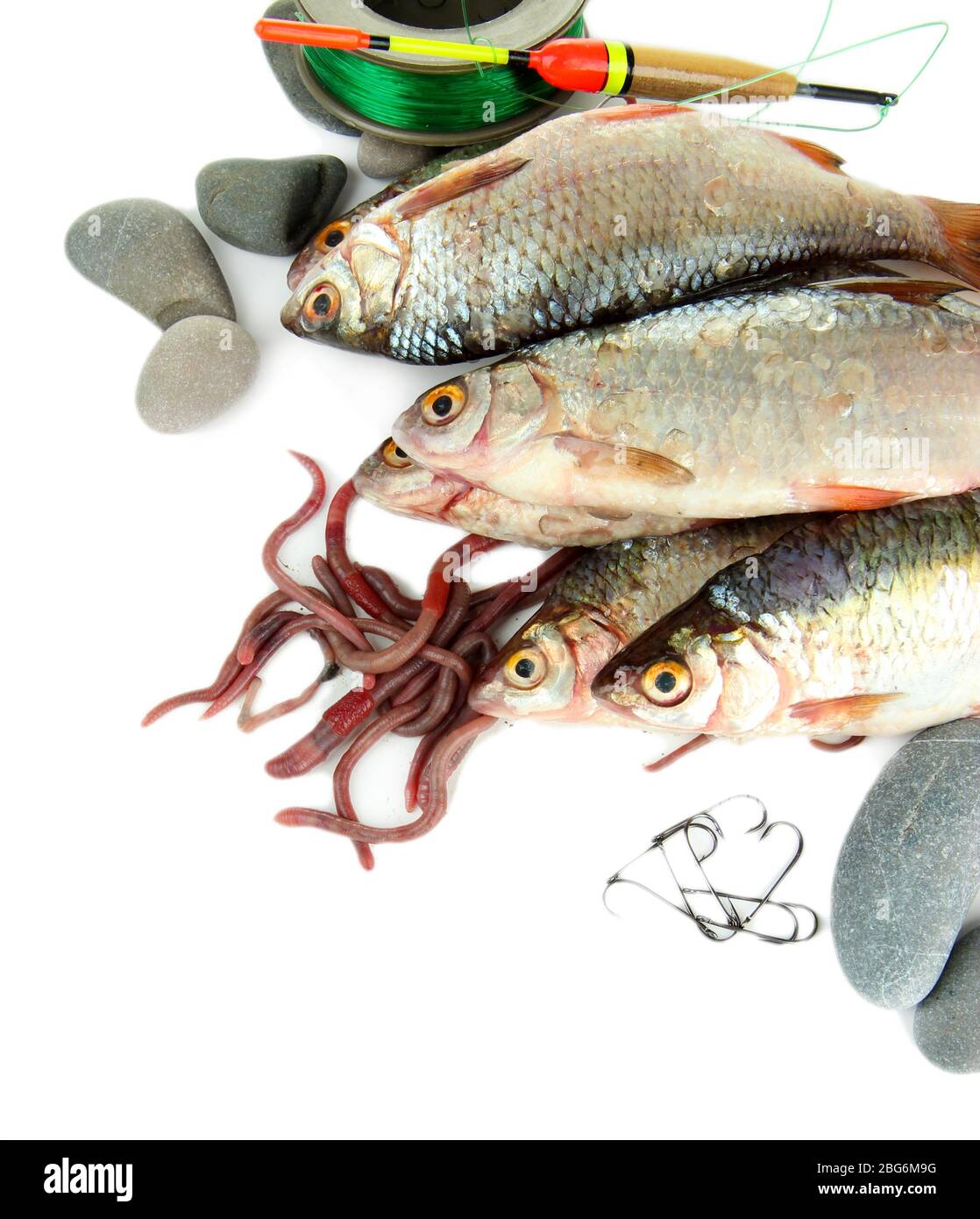 Fishes and fishing tools isolated on white Stock Photo - Alamy
