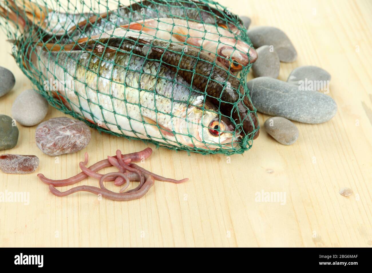 Many Fishes In Net High Resolution Stock Photography and Images - Alamy