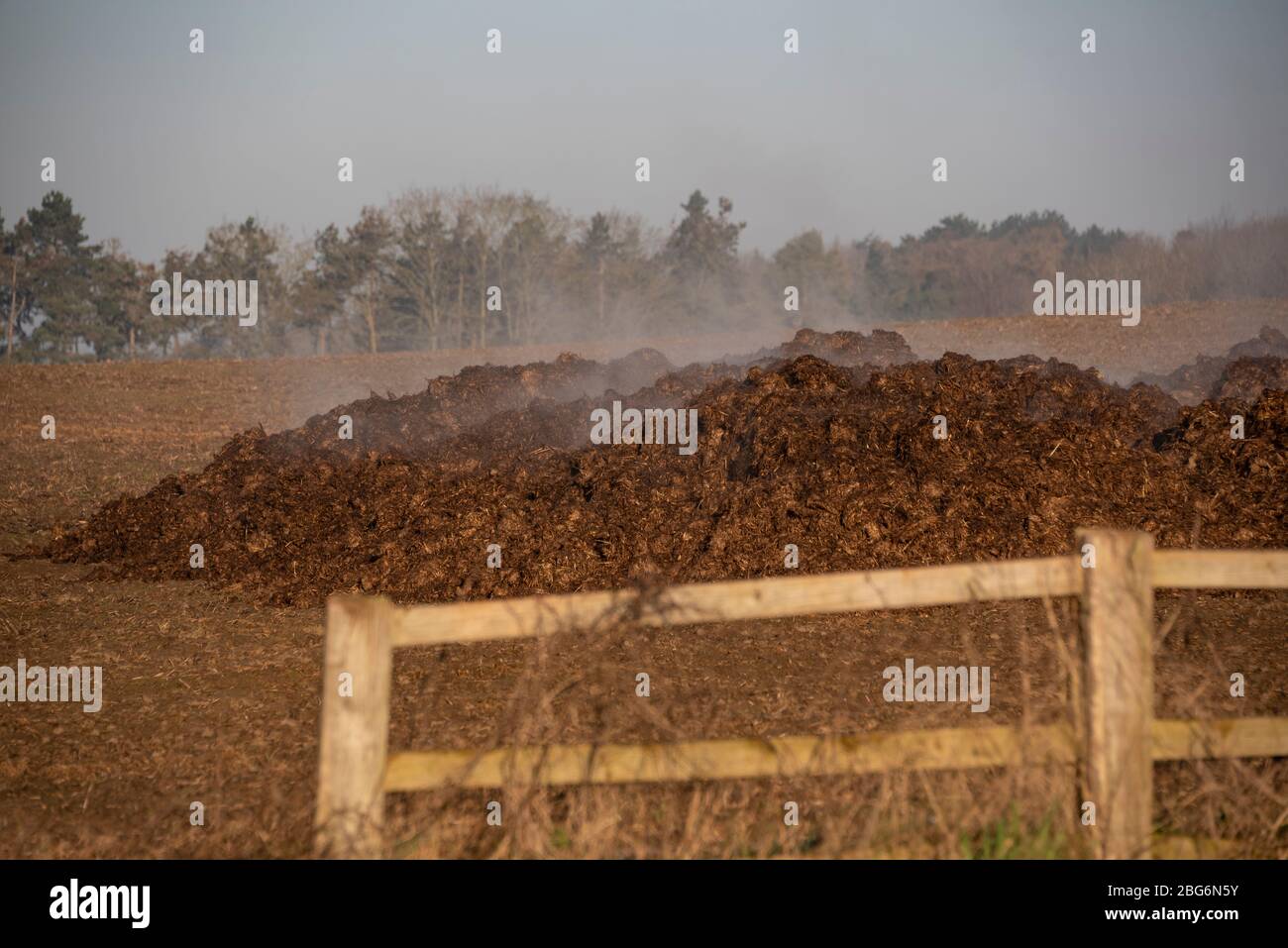 Pile of manure hi-res stock photography and images - Alamy