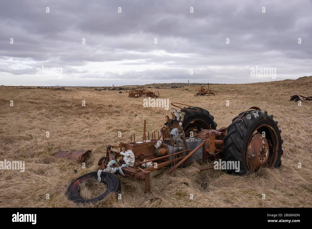 Remains of a rusty tractor lie abandoned in a coastal field, near ...