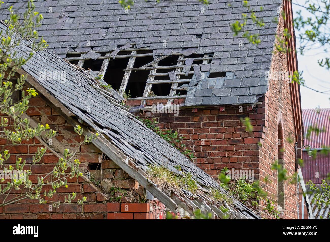 Damaged slate roof tiles on a pitched roof on a derelict house Stock ...