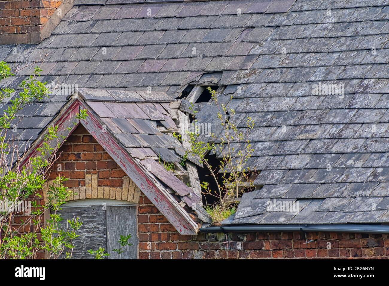 Damaged slate roof tiles on a pitched roof on a derelict house Stock ...
