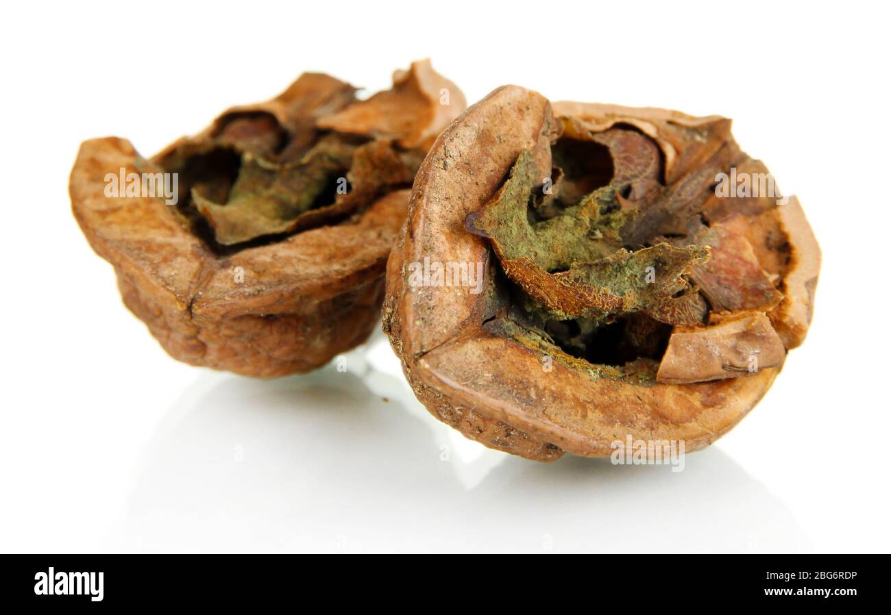 Broken walnut isolated on white Stock Photo - Alamy
