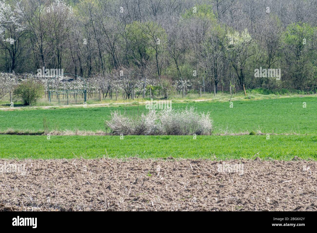 Agriculture early spring hi-res stock photography and images - Alamy