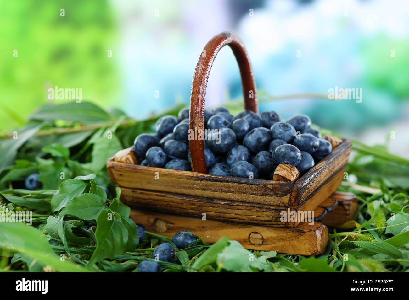 Blueberries in wooden basket on grass on nature background Stock Photo ...