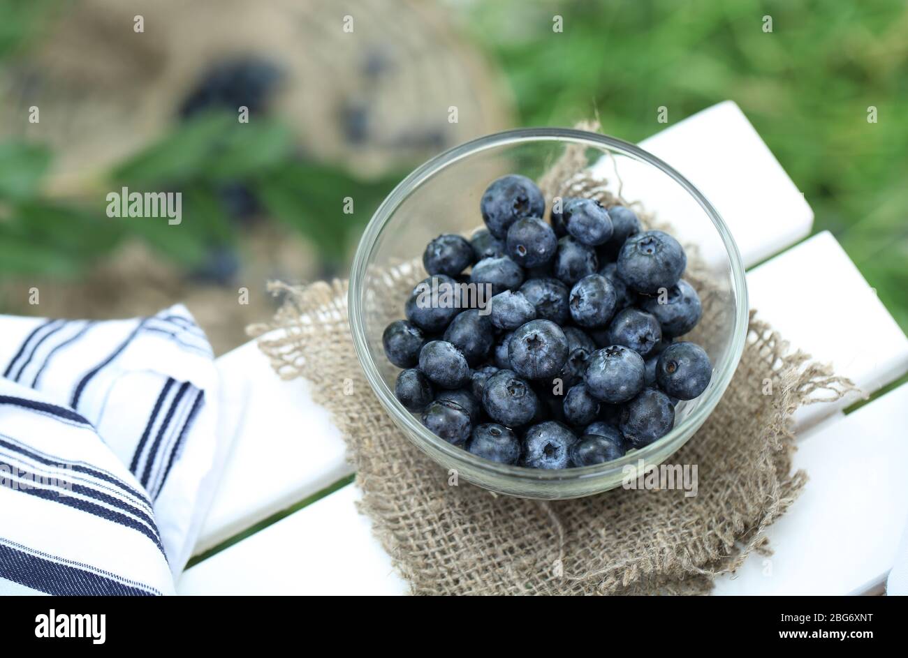 Blueberries in glass plate near napkin on wooden table on grass ...