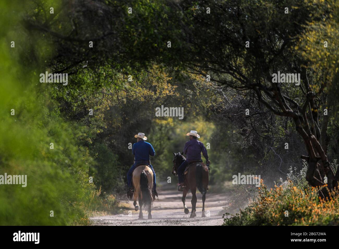 Rural community in Hermosillo called ejido La Yesca. Dedicated to ...