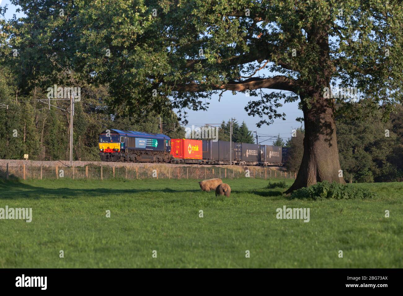 Direct rail Services class 66 diesel locomotive 66432 on the west coast ...