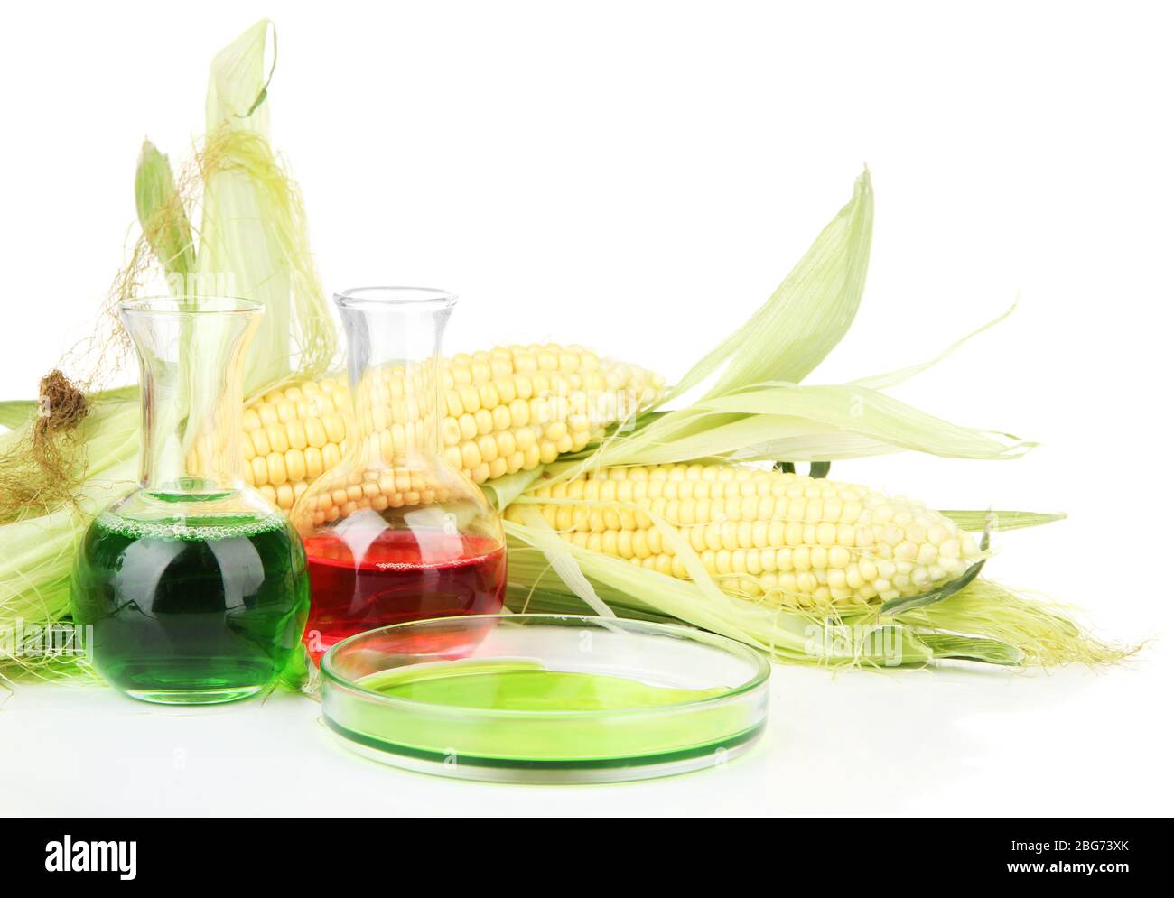 Conceptual photo of bio fuel from corn. Isolated on white Stock Photo ...