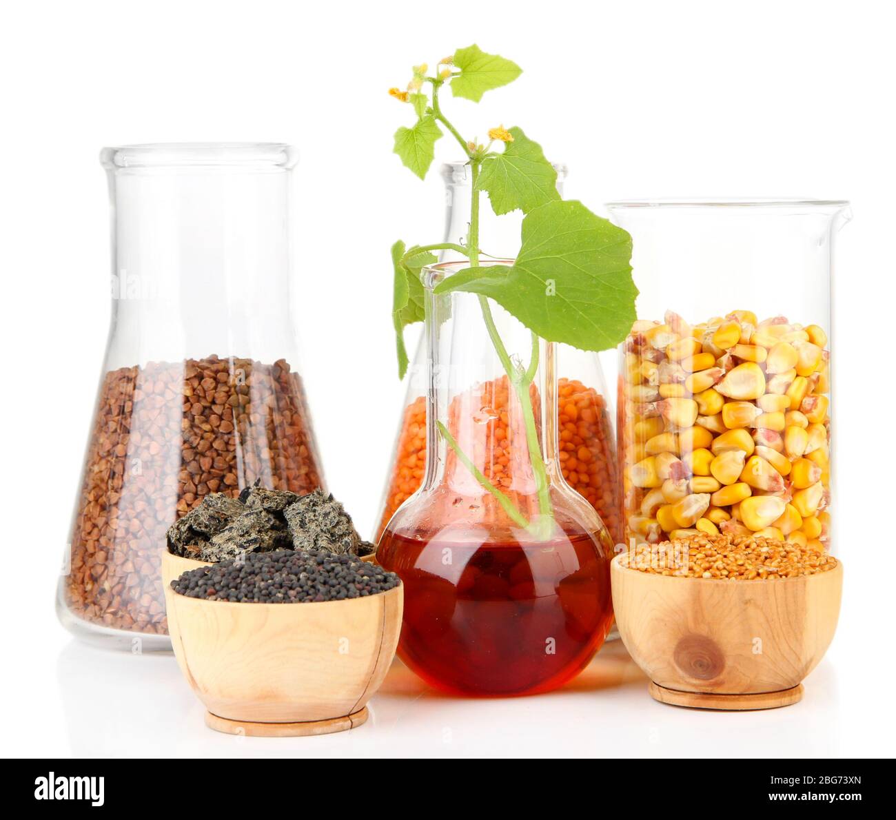 Conceptual photo of bio fuel. Isolated on white Stock Photo - Alamy