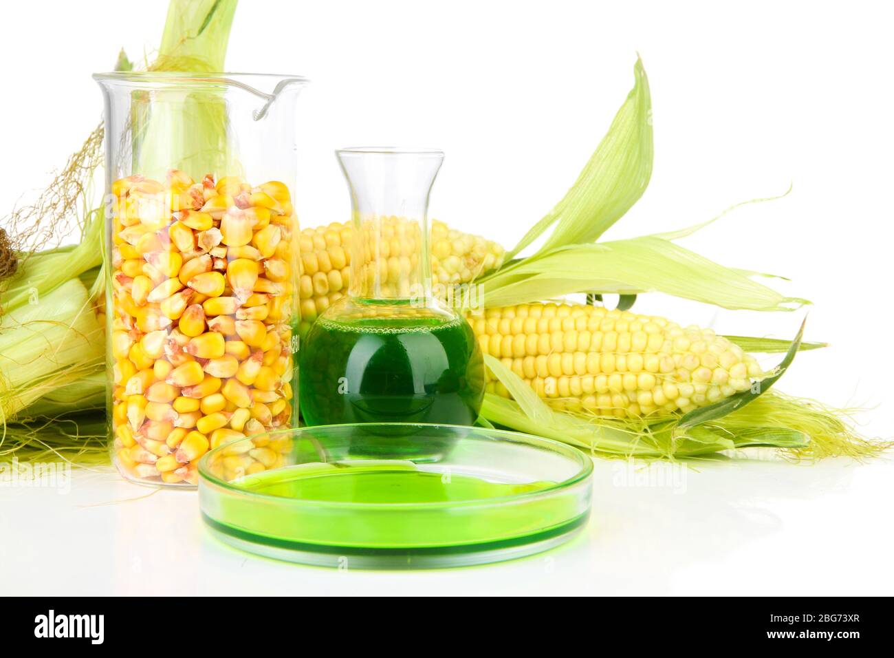Conceptual photo of bio fuel from corn. Isolated on white Stock Photo ...