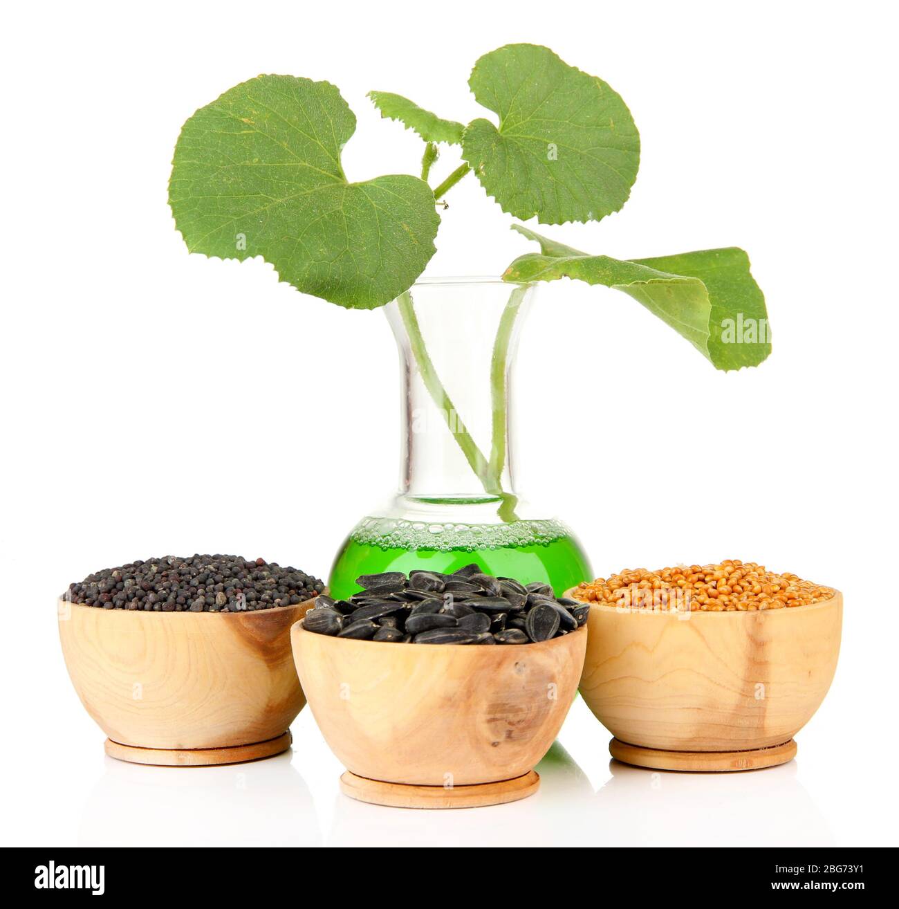 Conceptual photo of bio fuel. Isolated on white Stock Photo - Alamy