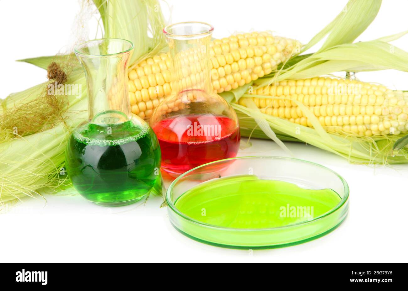 Conceptual photo of bio fuel from corn. Isolated on white Stock Photo ...