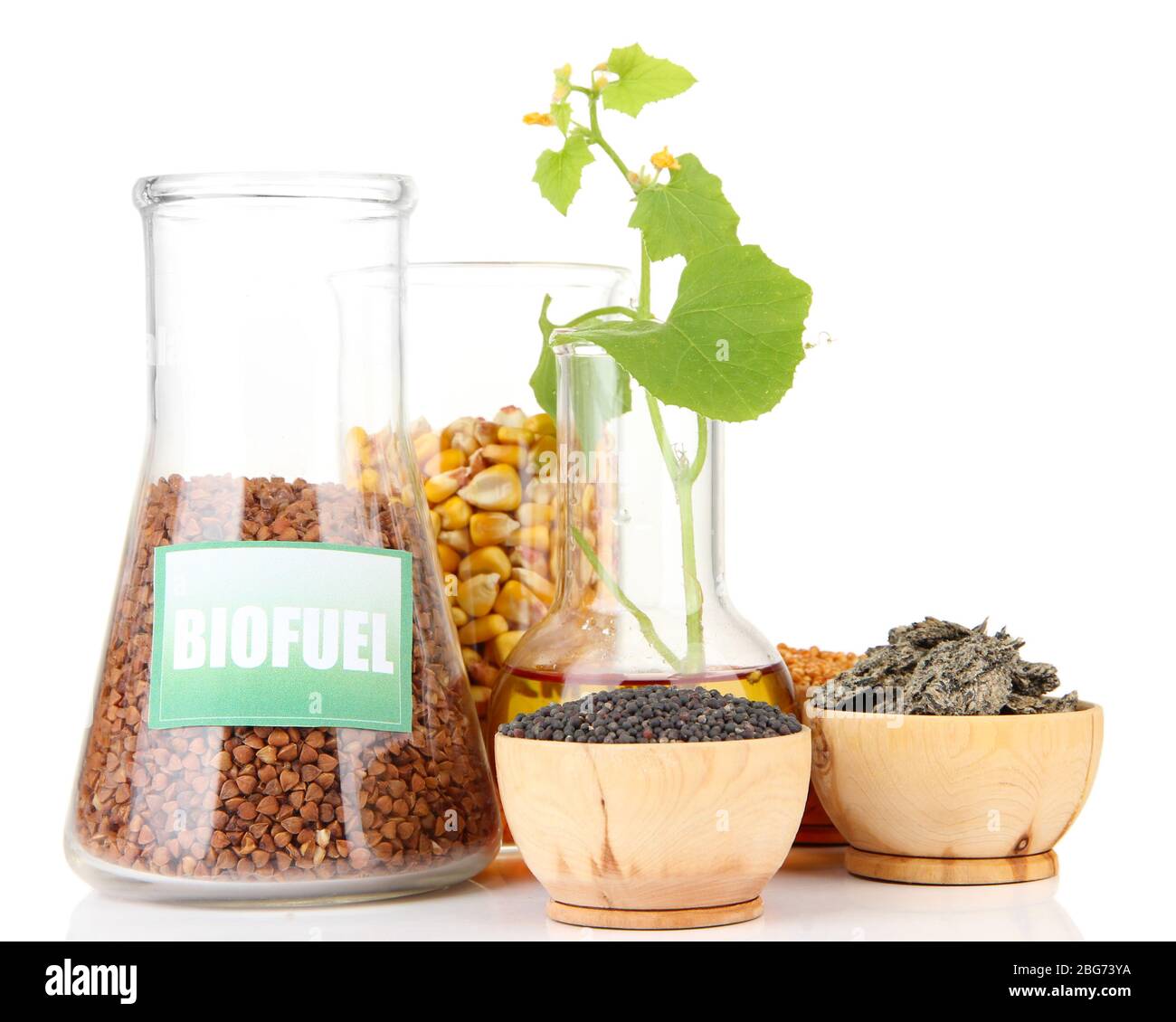 Conceptual photo of bio fuel. Isolated on white Stock Photo - Alamy