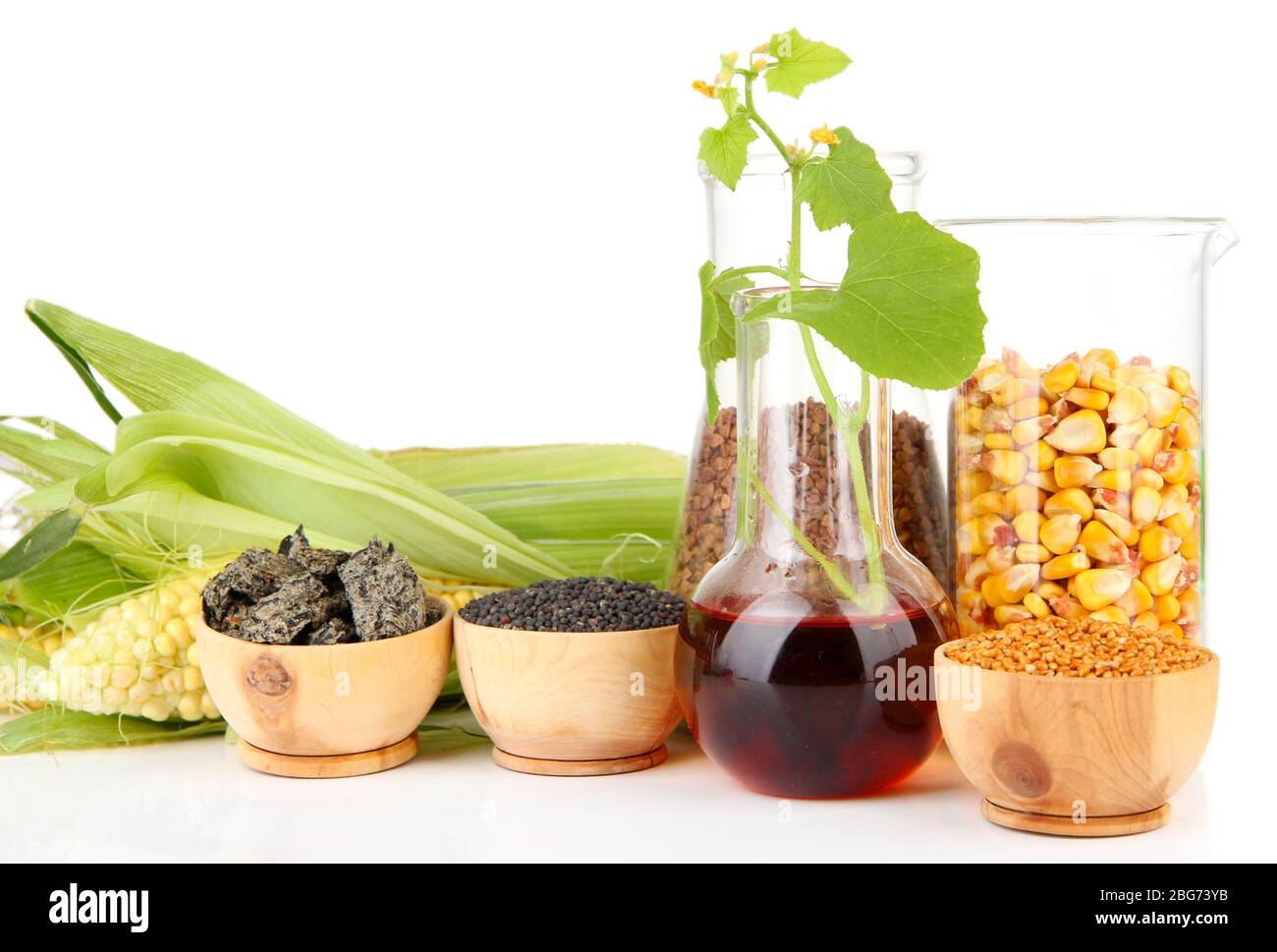 Conceptual photo of bio fuel. Isolated on white Stock Photo - Alamy