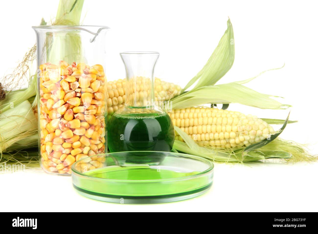 Conceptual photo of bio fuel from corn. Isolated on white Stock Photo ...