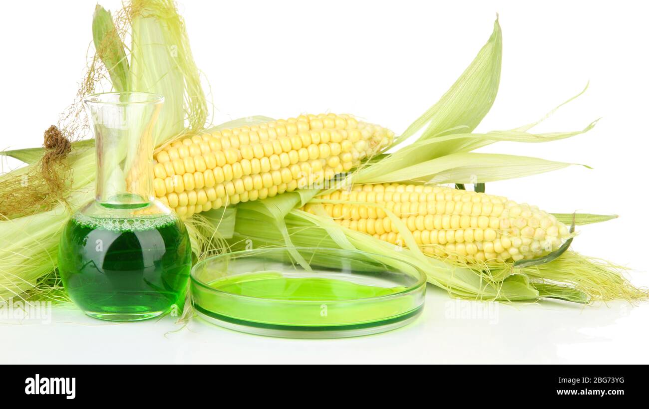 Biofuels corn hi-res stock photography and images - Alamy