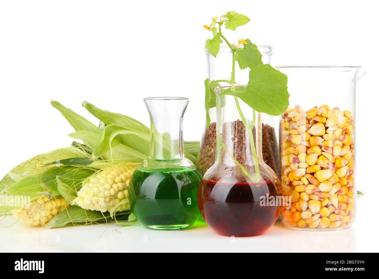 Conceptual photo of bio fuel. Isolated on white Stock Photo - Alamy