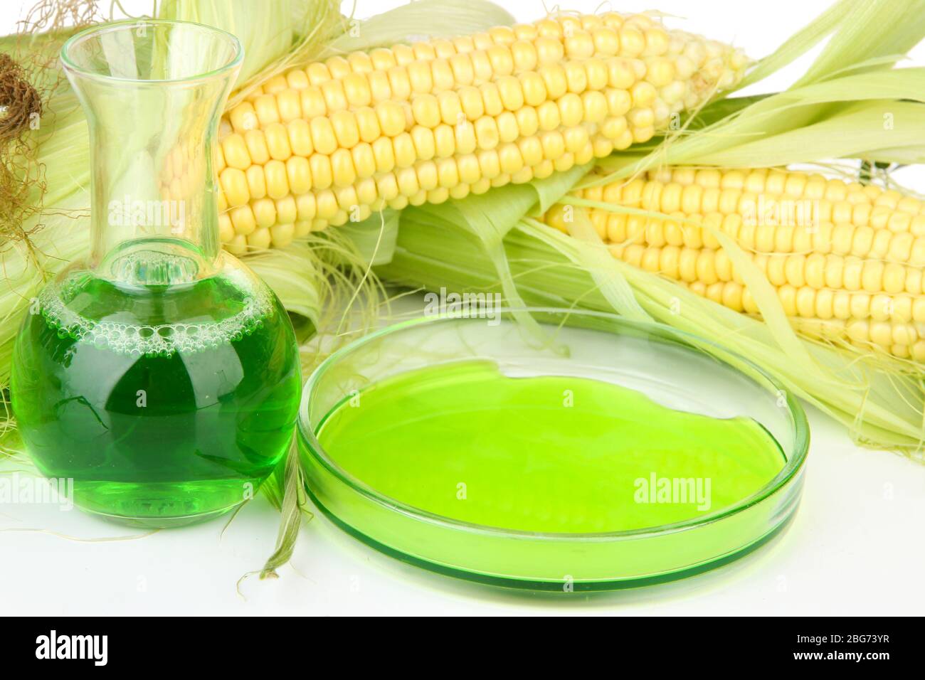 Conceptual photo of bio fuel from corn. Isolated on white Stock Photo ...