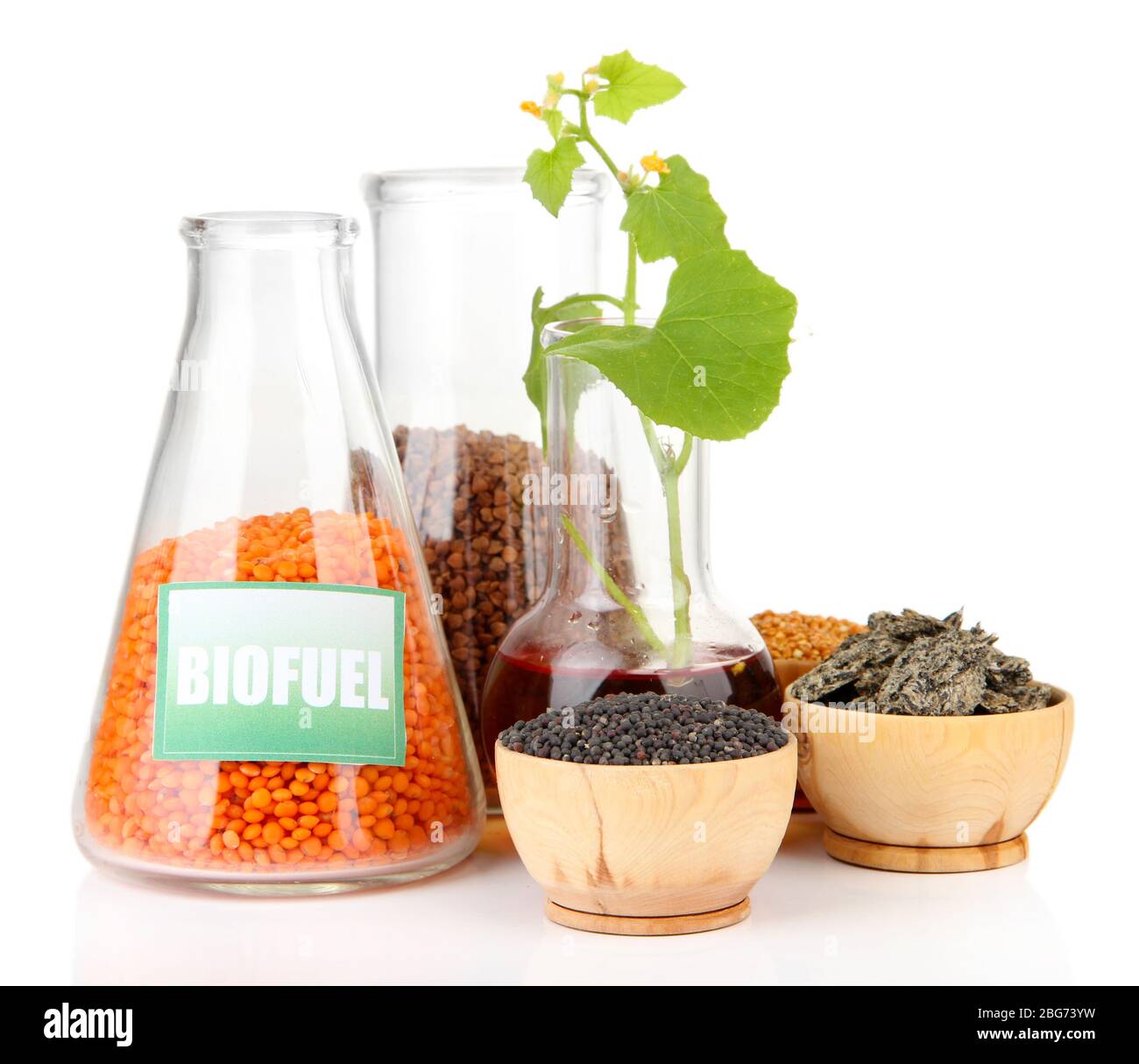 Conceptual photo of bio fuel. Isolated on white Stock Photo - Alamy