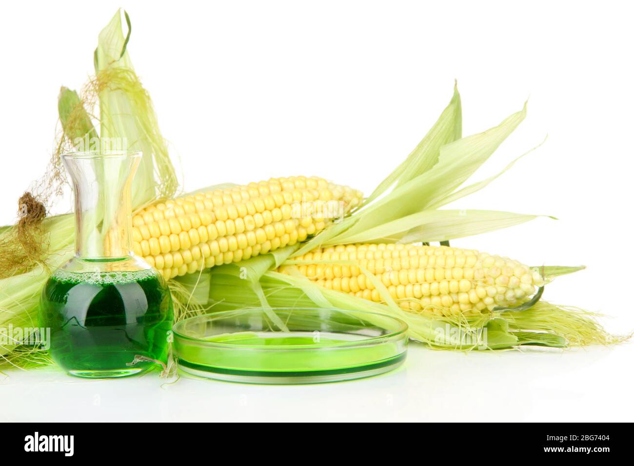 Conceptual photo of bio fuel from corn. Isolated on white Stock Photo ...