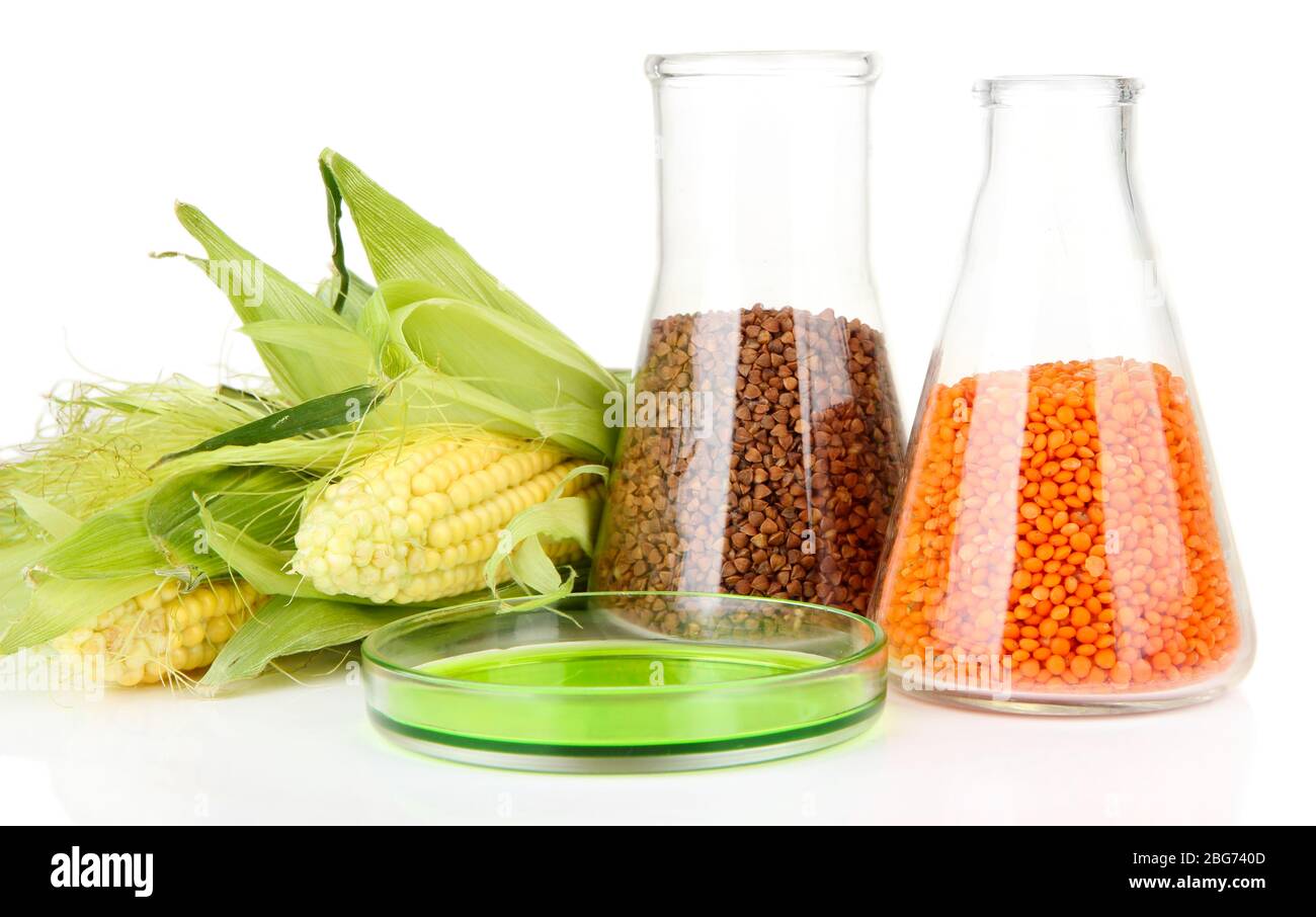 Conceptual photo of bio fuel. Isolated on white Stock Photo - Alamy