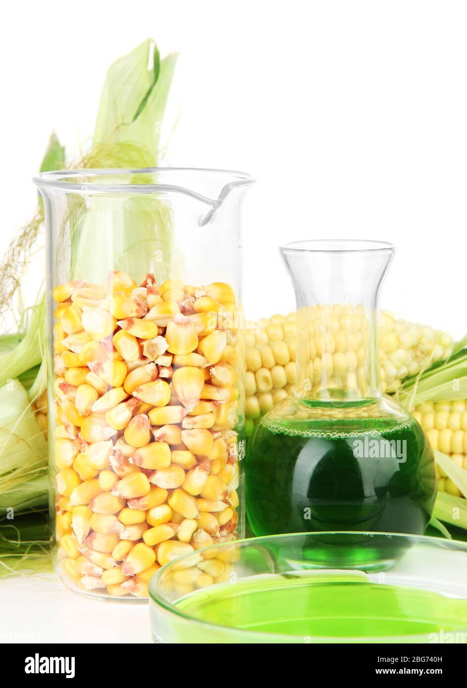 Conceptual photo of bio fuel from corn. Isolated on white Stock Photo ...