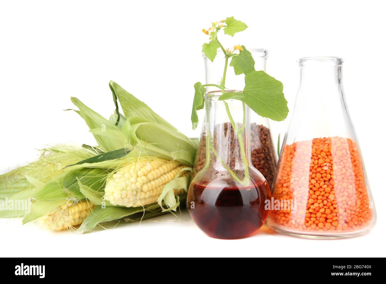 Conceptual photo of bio fuel. Isolated on white Stock Photo - Alamy