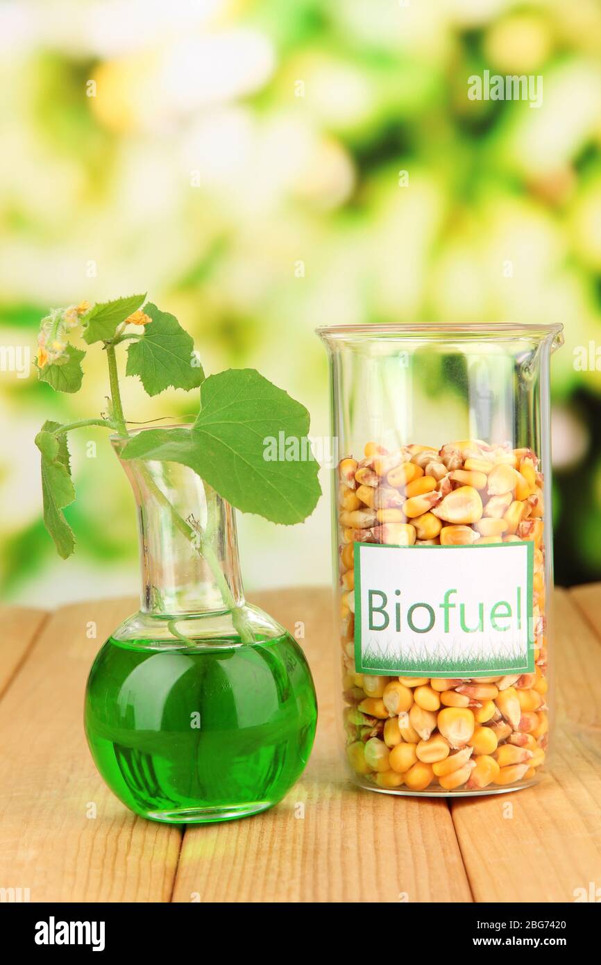 Conceptual photo of bio fuel. On bright background Stock Photo - Alamy