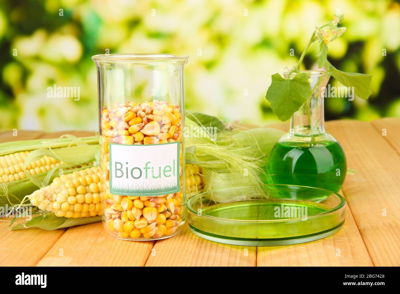 Conceptual photo of bio fuel. On bright background Stock Photo - Alamy
