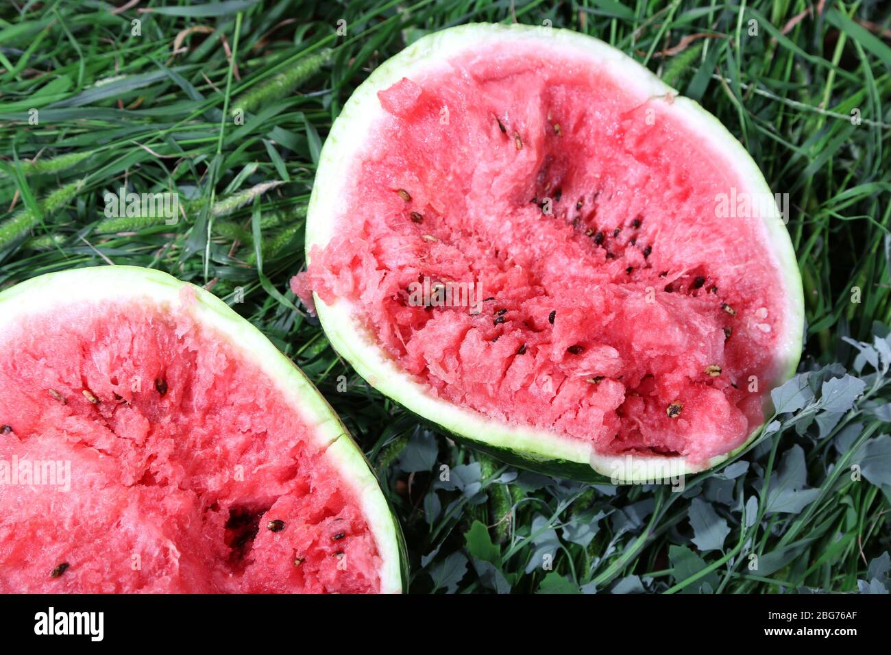 Cracked watermelon hi-res stock photography and images - Alamy