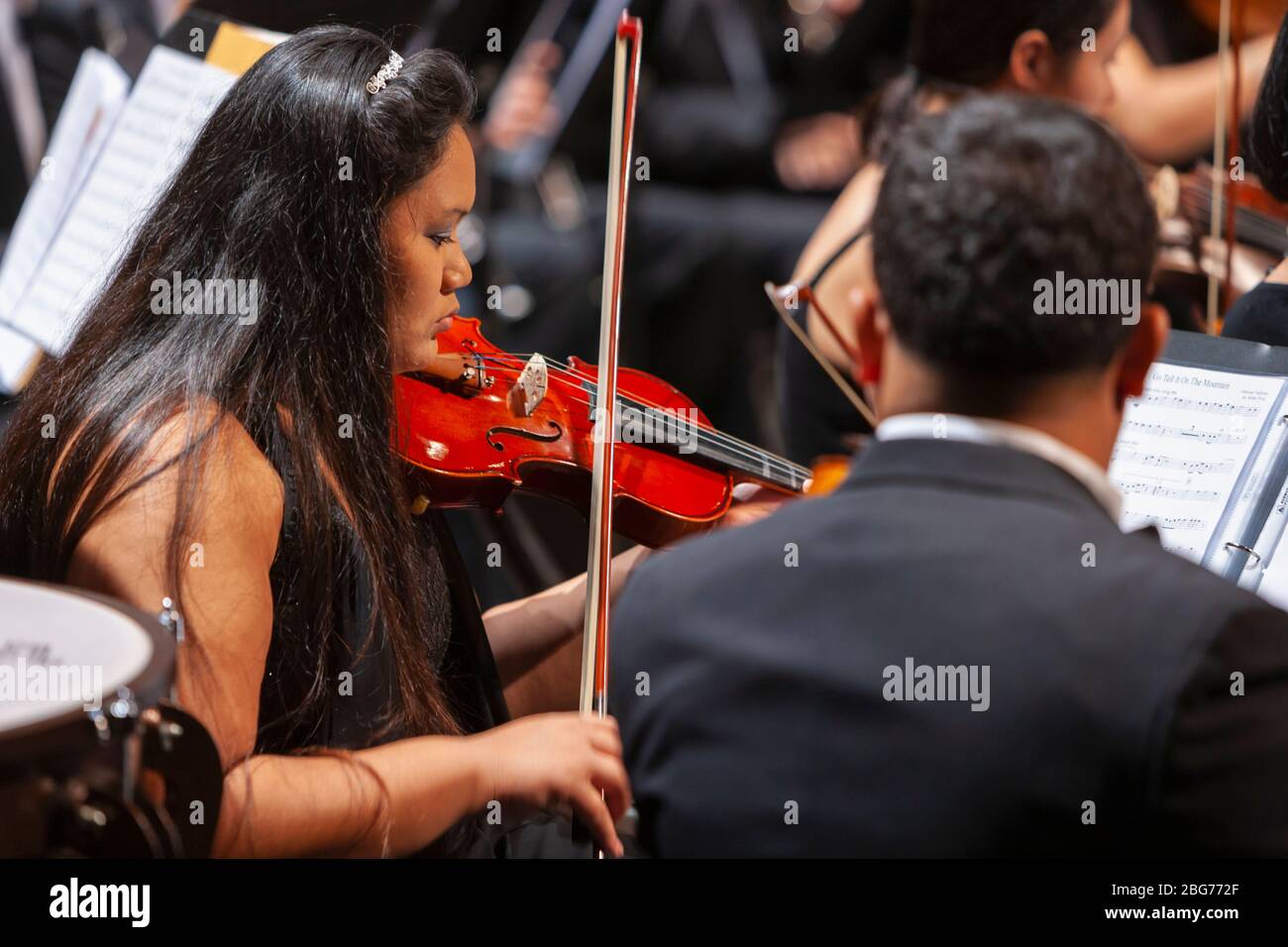 Viola player (model released) during classical orchestra performance ...