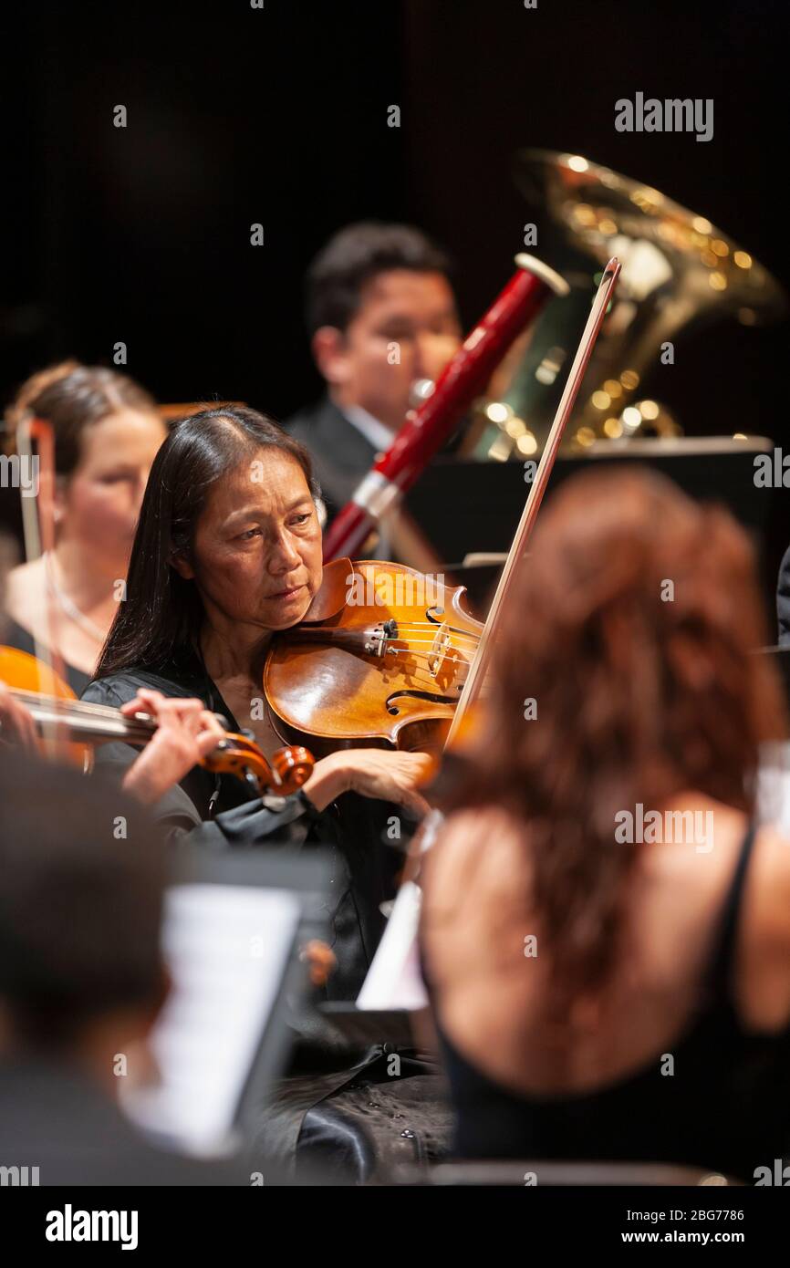 Classical orchestra hi-res stock photography and images - Alamy