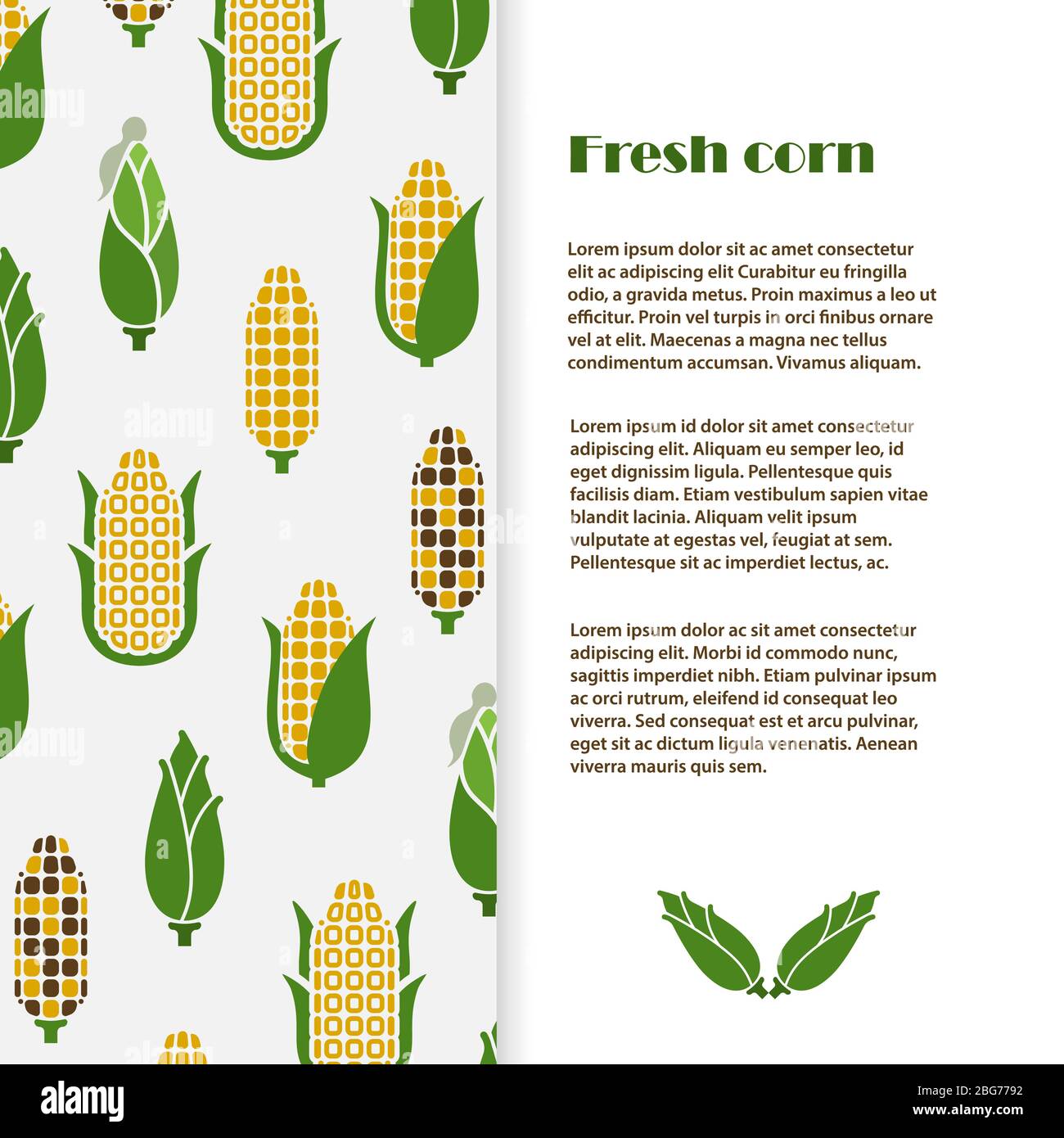 Fresh corn banner or poster template design. Vector harvest flyer ...