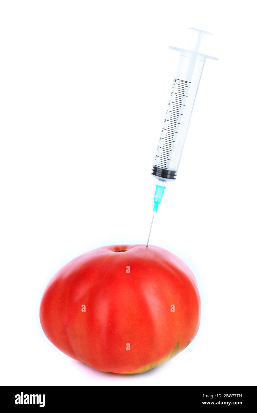Injection into fresh red tomato isolated on white Stock Photo - Alamy