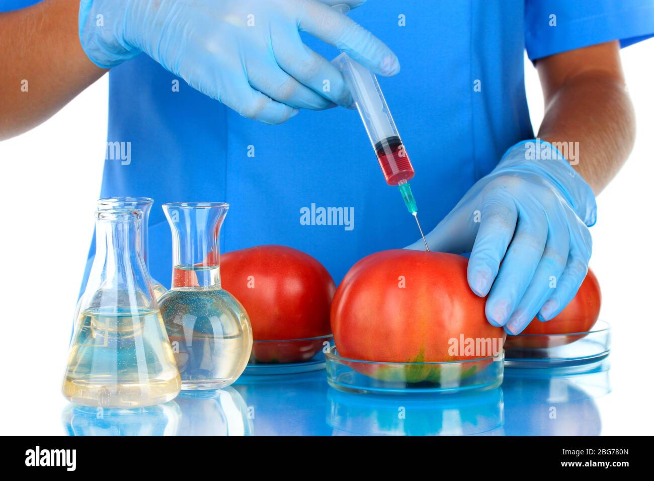 Scientists make injection into fresh red tomato in laboratory Stock ...