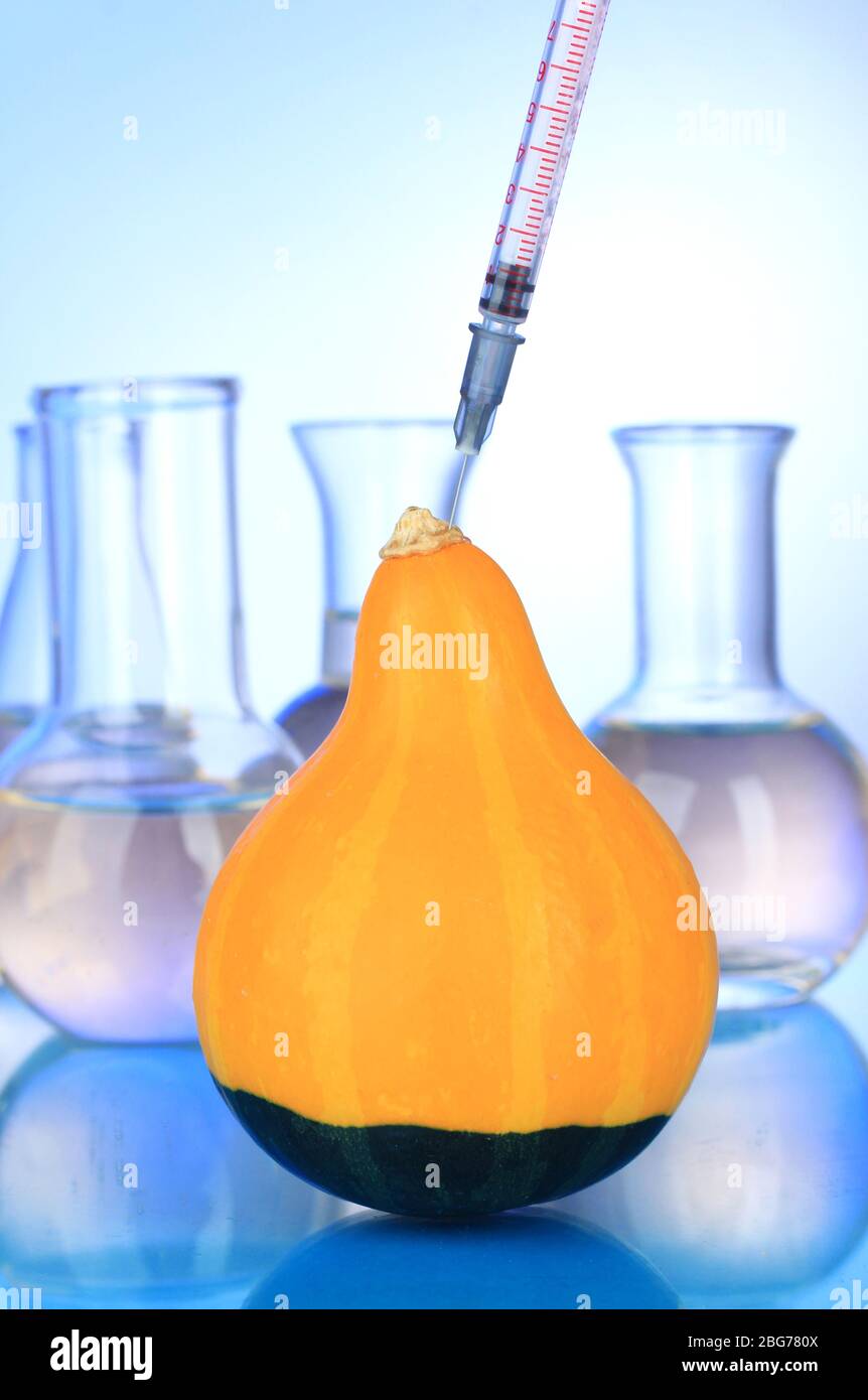 Injection into fresh pumpkin on blue background Stock Photo - Alamy