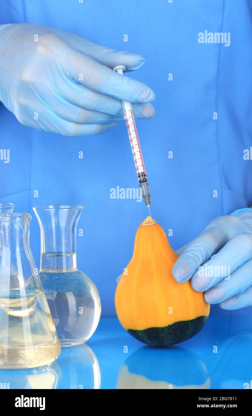 Scientists make injection into fresh pumpkin in laboratory Stock Photo ...