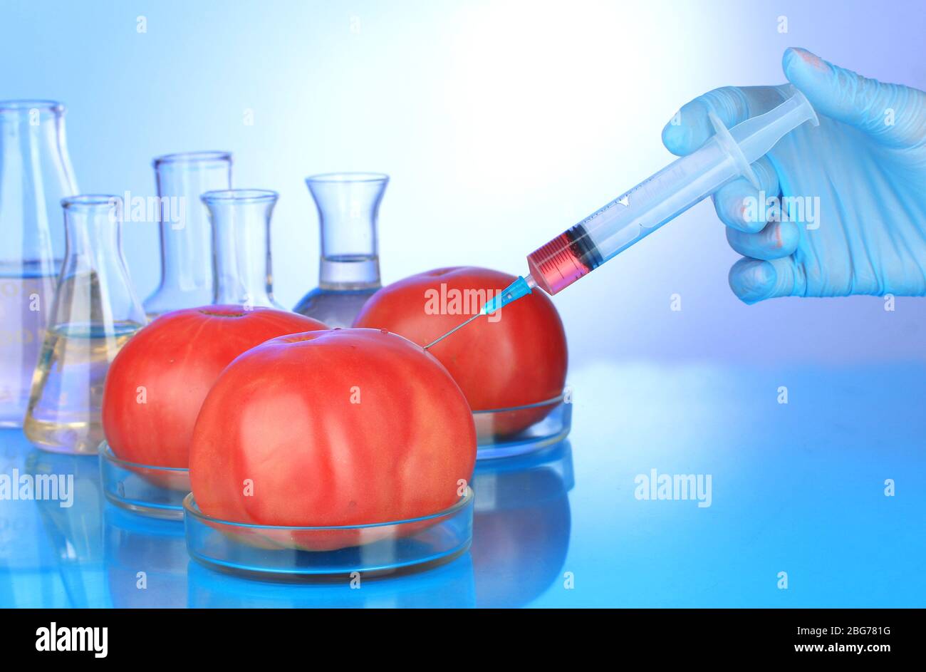 Injection into fresh red tomato on blue background Stock Photo - Alamy