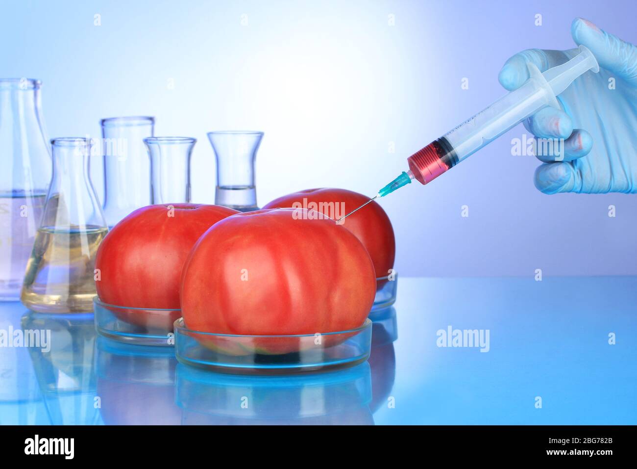 Injection into fresh red tomato on blue background Stock Photo - Alamy