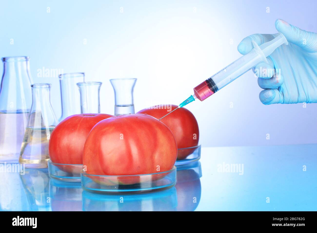 Injection into fresh red tomato on blue background Stock Photo - Alamy