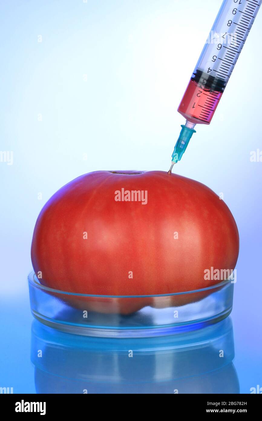 Injection into fresh red tomato on blue background Stock Photo - Alamy