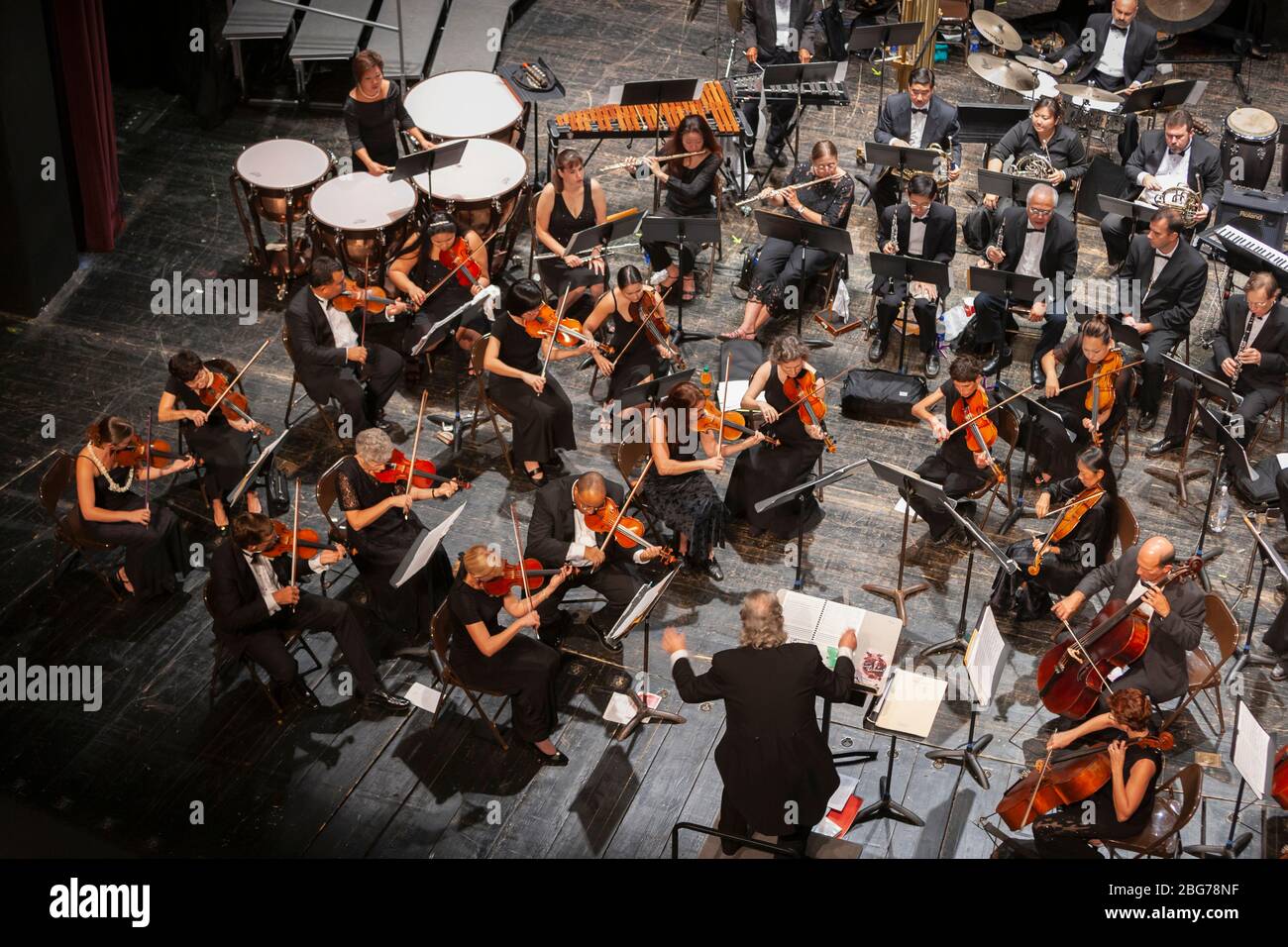 Overhead view of conductor leading orchestra (all model released) in ...