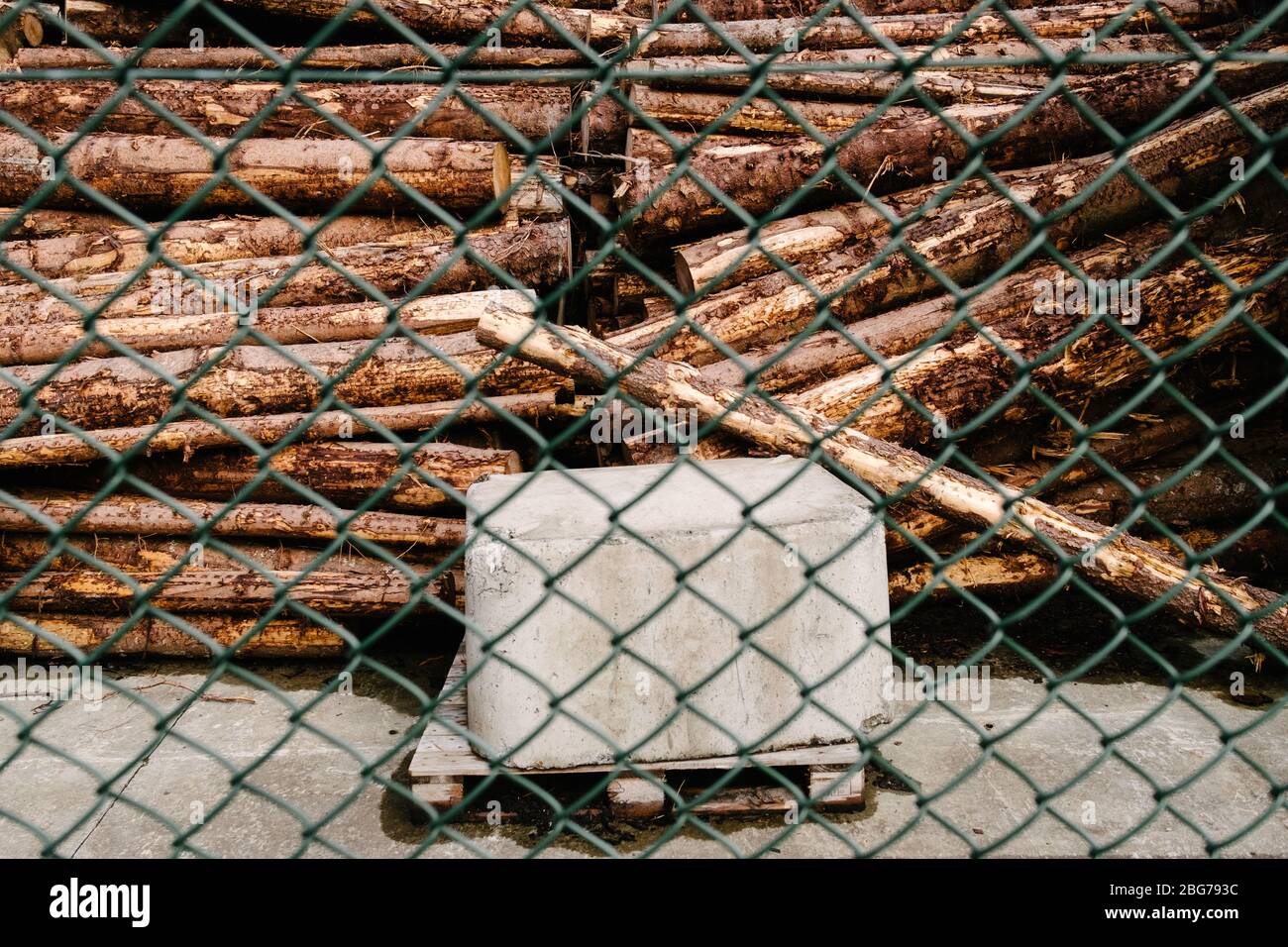 Scottish timber stacked ready for transportation and export on the ...
