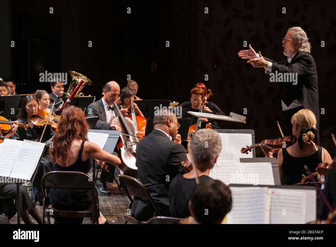 Classical conductor hi-res stock photography and images - Alamy