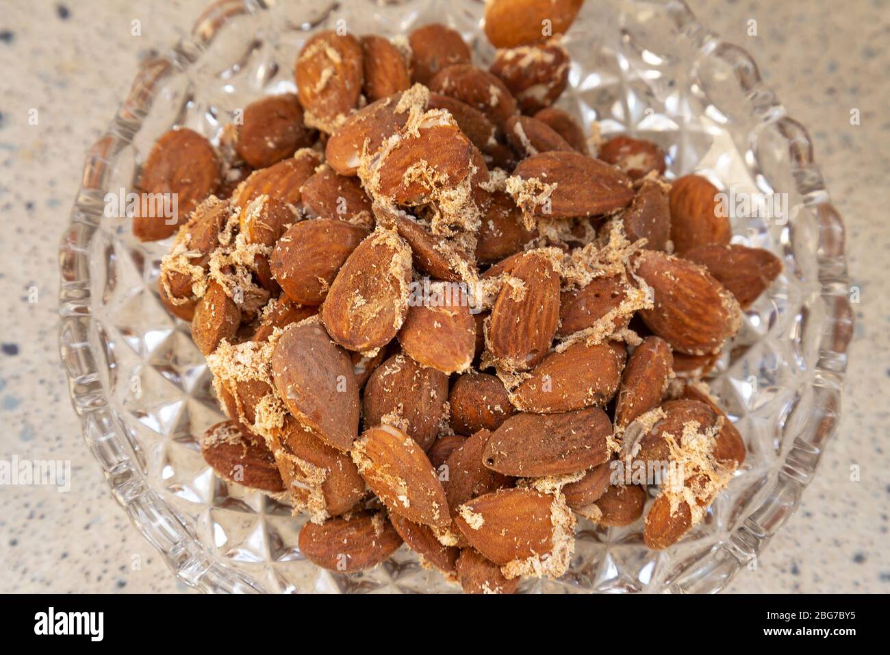 Indian meal moth hi-res stock photography and images - Alamy